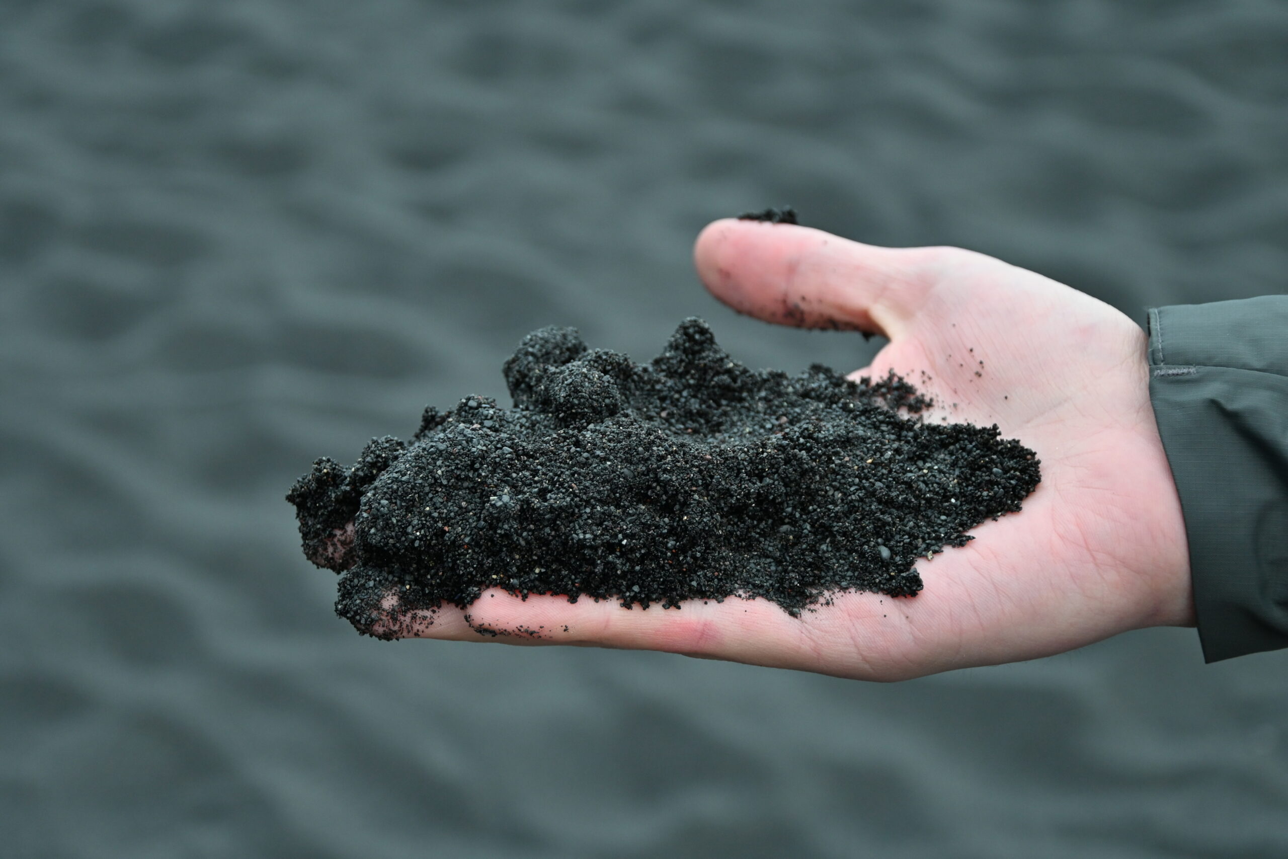 Coastal oceans as a real-life knowledge base | Coastal Carbon